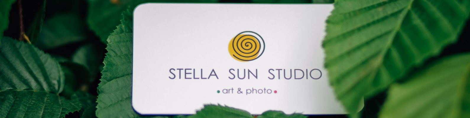 Stella Sun Studio | Привіт, Друже! 2025 | ВКонтакте